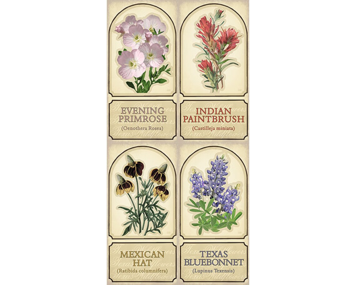 Texas Wildflower Poster - Etsy
