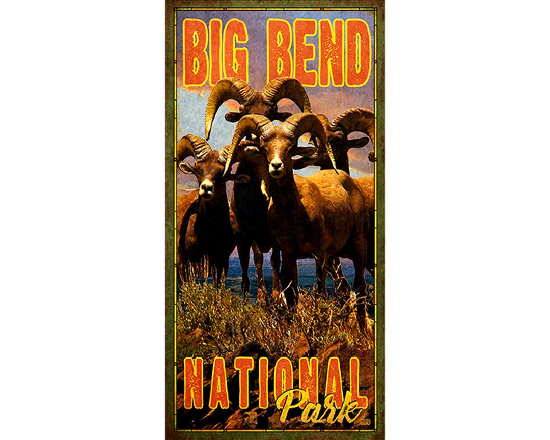 Big Bend National Park Souvenir Posters - Etsy