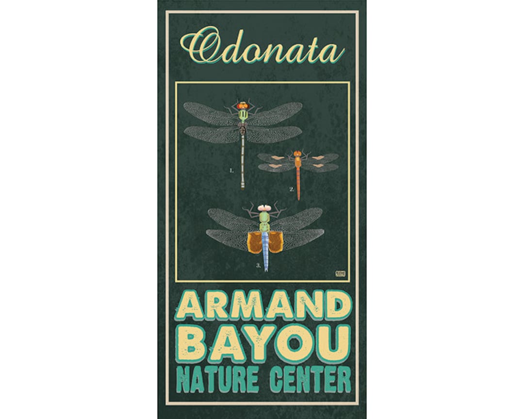 Armand Bayou Dragonfly Poster - Etsy
