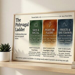 Polyvagal Ladder Poster | Nervous System Education, Therapy Resource ...