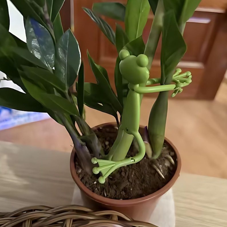 5pcs Frog Plant Support Stakes, Flexible Frog Hugger, Support for ...