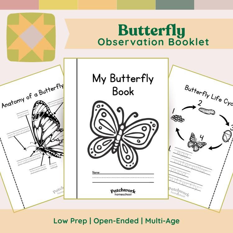 Butterfly Observation Booklet | Butterfly Life Cycle Printable | Nature ...