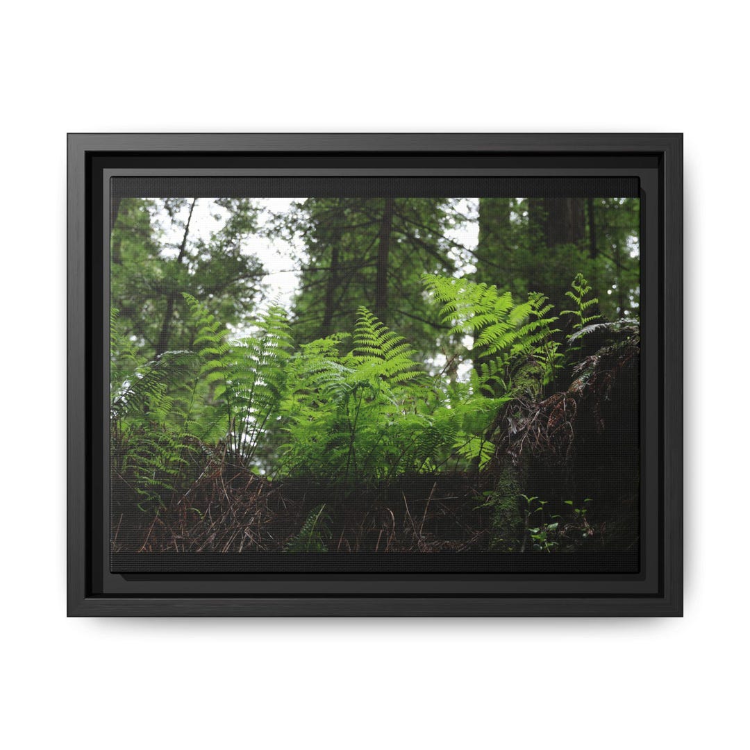 Forest Ferns Matte Canvas Framed | Botanical Wall Art - Etsy