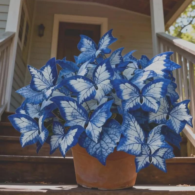 Butterfly Hosta - Etsy