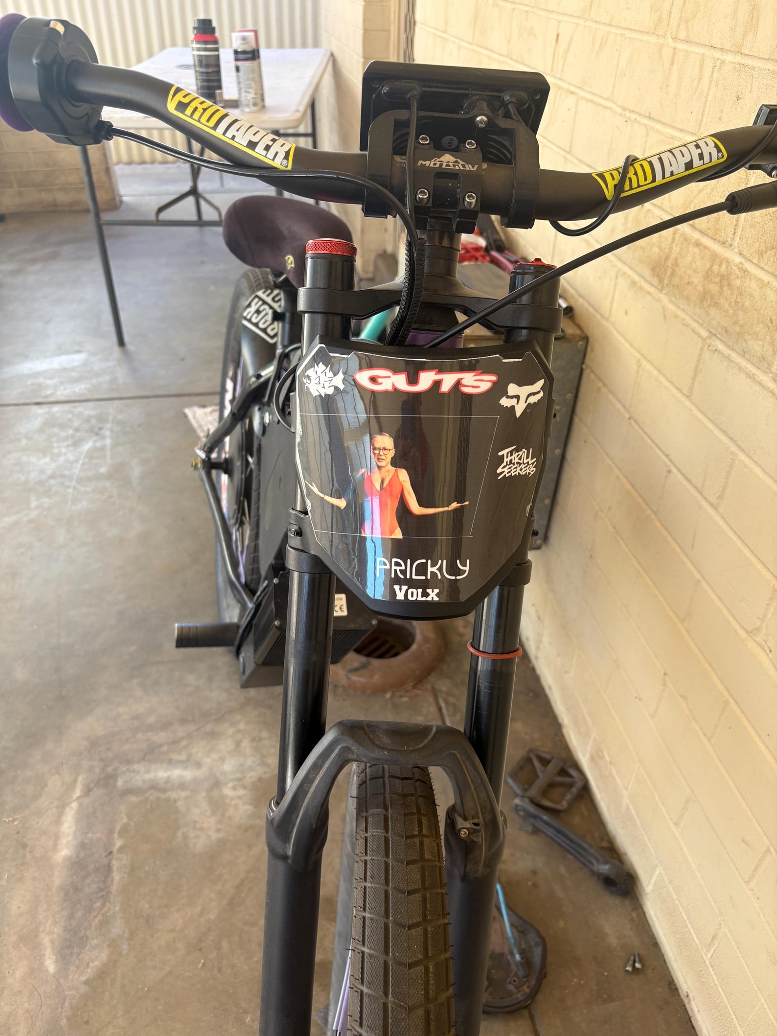 Anthony Albanese E-bike Decal - Etsy