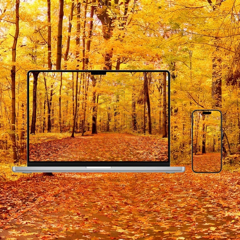 Nature 4K Desktop & 2K Phone Wallpaper Autumn in the Forest 0019 - Etsy ...