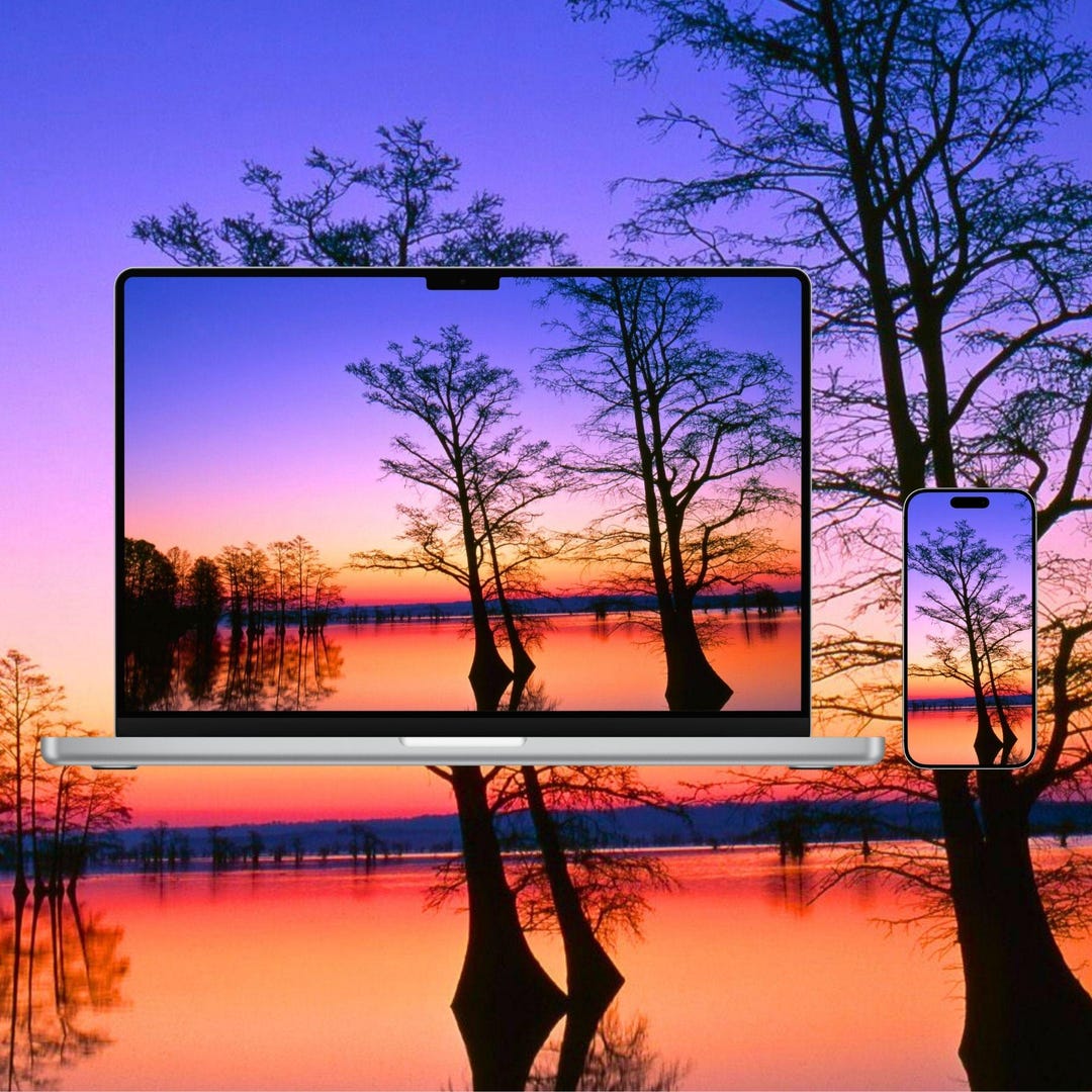 Nature 4K Desktop & 2K Phone Wallpaper Tennessee National Wildlife ...