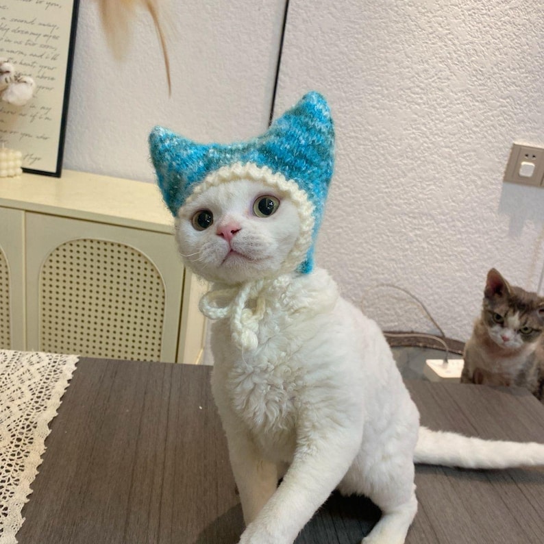 Hand Knitted Cat Ear Hat – Blue White Kitty Bonnet, Pet Photography ...