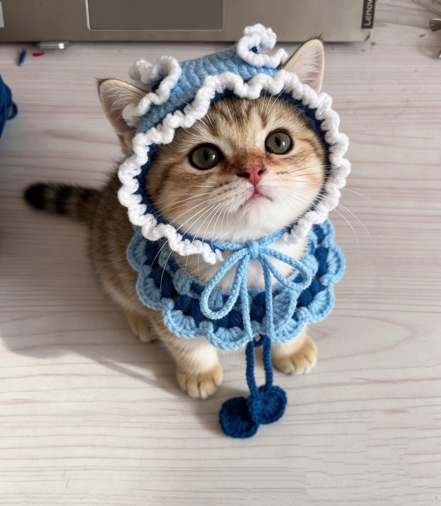 Handmade Crochet Cat Bonnet and Bib Set, Blue Lace Trim Pet Accessories ...