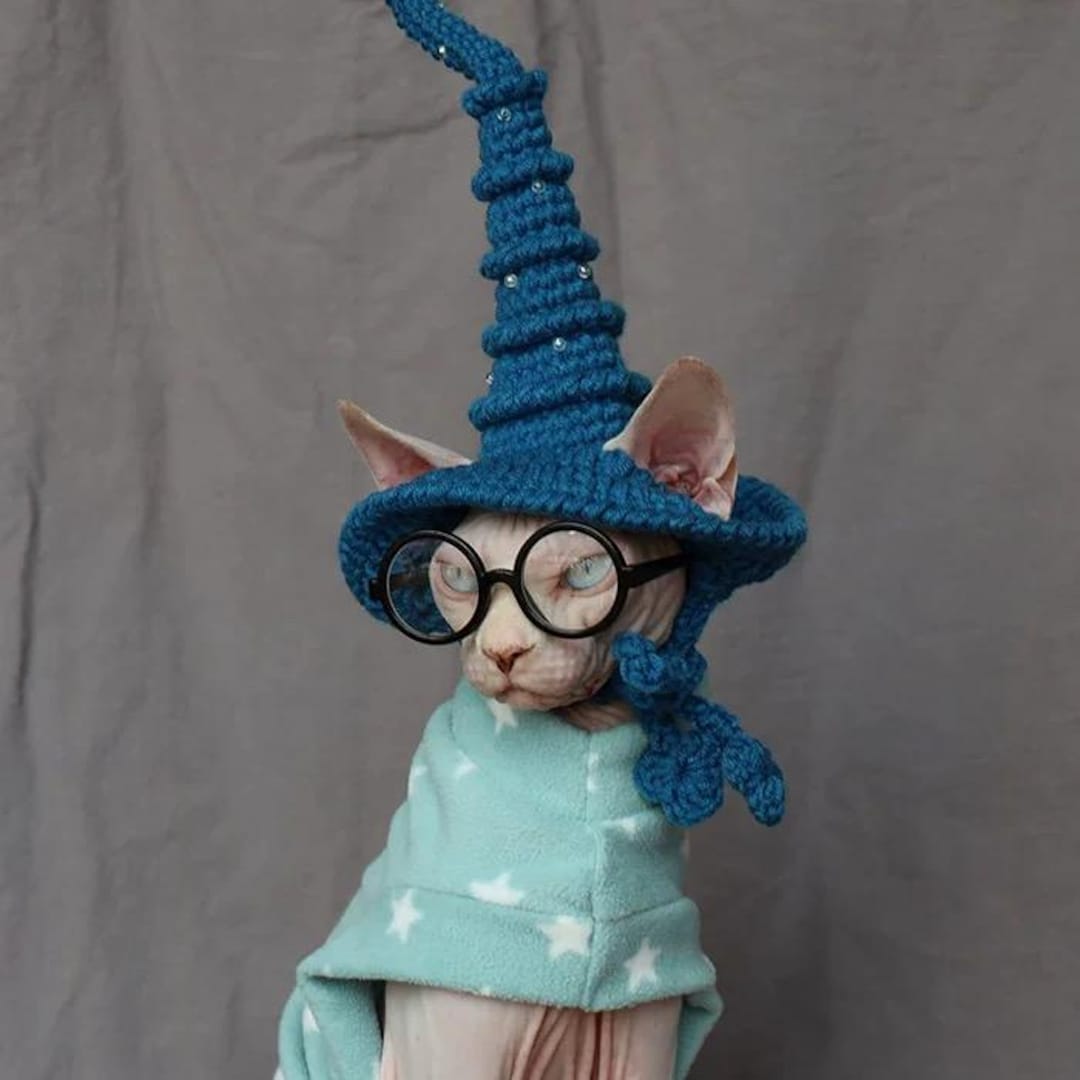 Hand Knit Cat Wizard Hat, Pet Witch Costume, 9 Colors, Photo Prop - Etsy