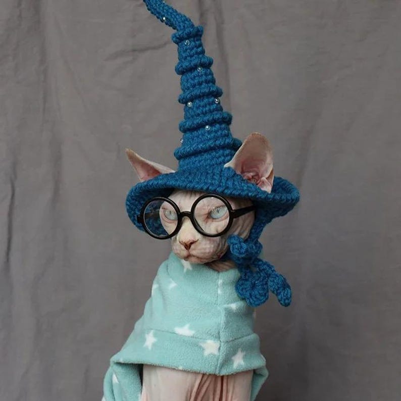 Hand Knit Cat Wizard Hat, Pet Witch Costume, 9 Colors, Photo Prop - Etsy