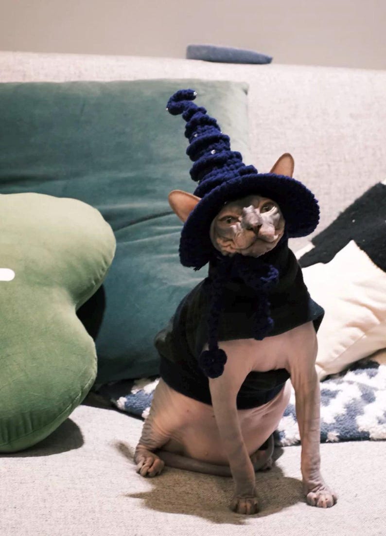 Hand Knit Cat Wizard Hat, Pet Witch Costume, 9 Colors, Photo Prop - Etsy