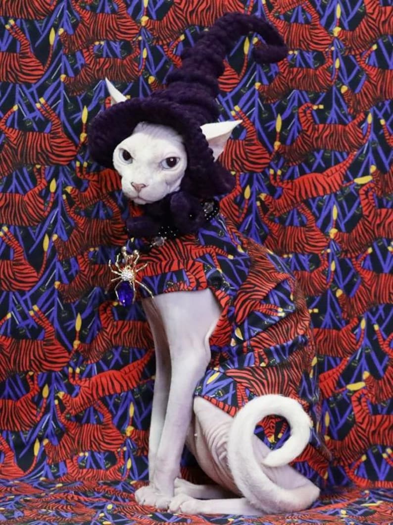Hand Knit Cat Wizard Hat, Pet Witch Costume, 9 Colors, Photo Prop - Etsy