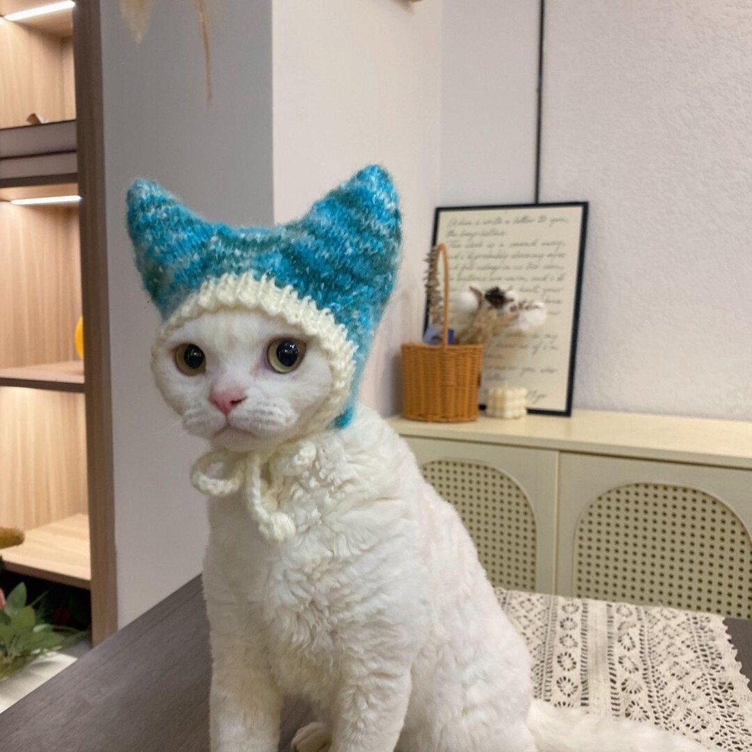 Hand Knitted Cat Ear Hat – Blue White Kitty Bonnet, Pet Photography ...