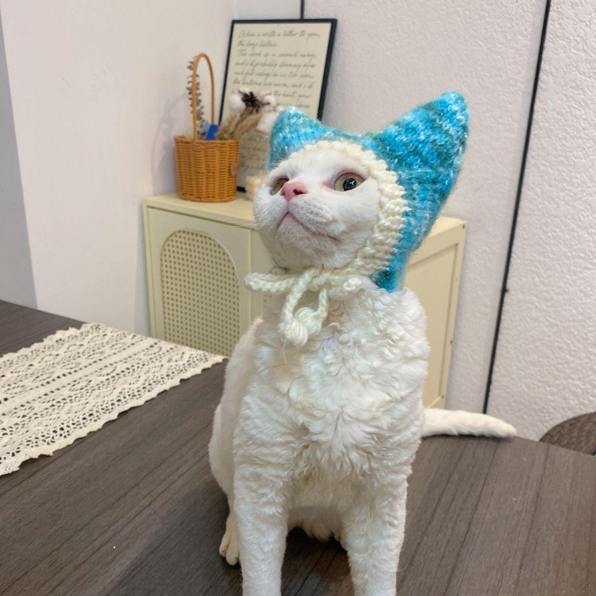 Hand Knitted Cat Ear Hat – Blue White Kitty Bonnet, Pet Photography ...