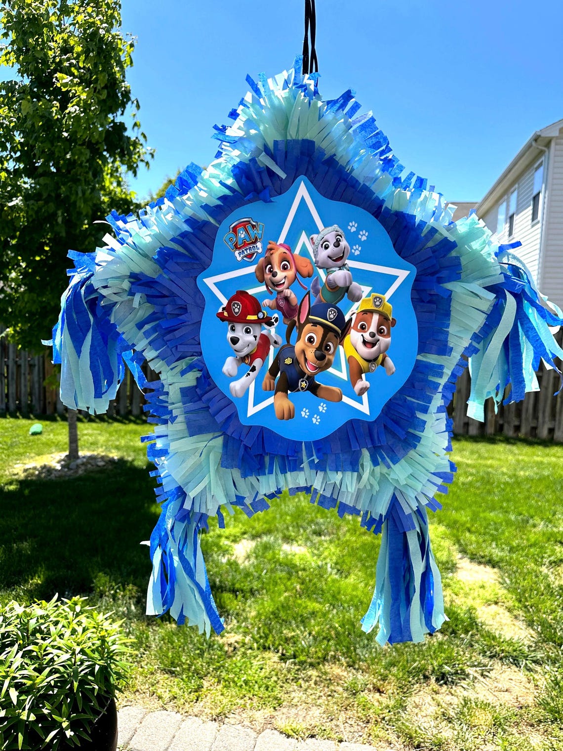 Paw Dogs Pinata : 20x18 Custom Order Pinatas - Etsy Italia