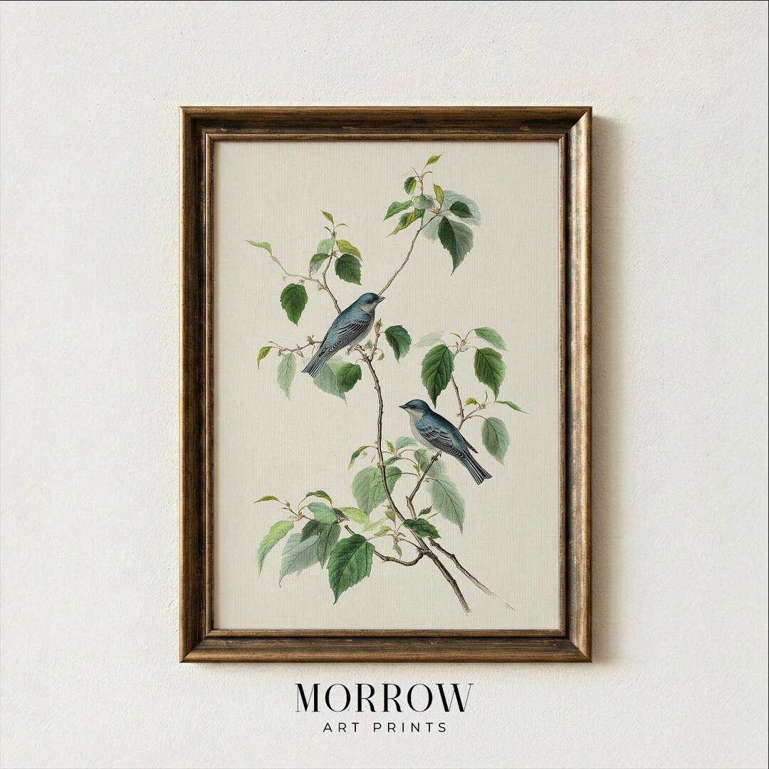 Vintage Bird Art Print | Botanical Bird Illustration (digital Download ...