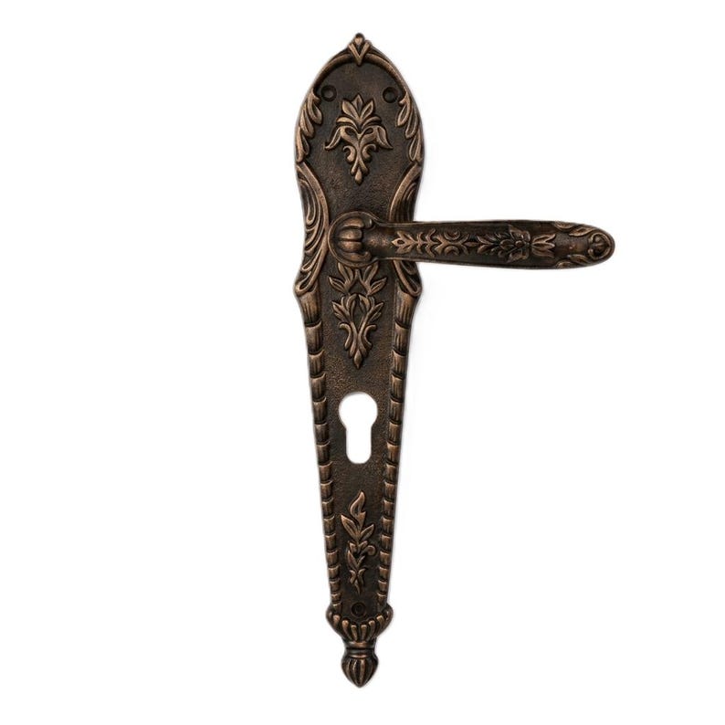 Victorian Bloom Modern Brass 12 Inch Outdoor Door Handle on Plate ...