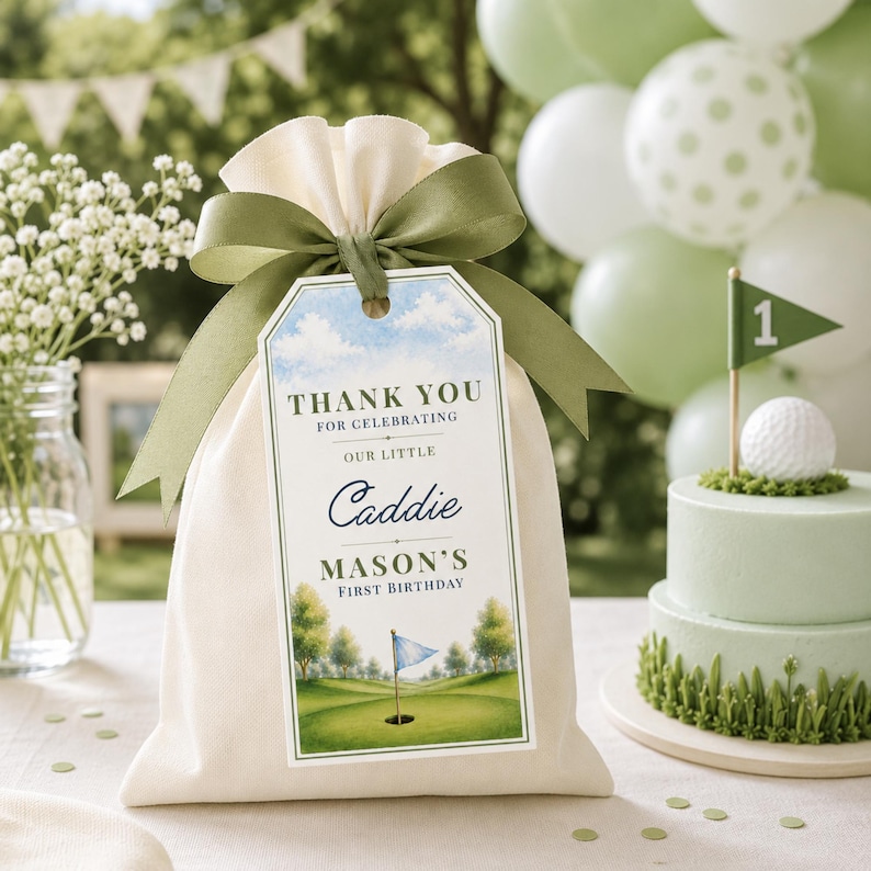 Hole in One First Birthday Bundle, Golf Milestone Board & Photo Board ...