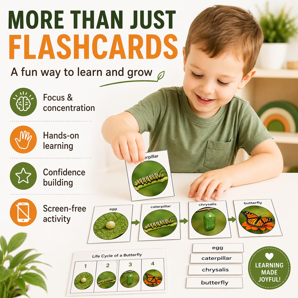 Butterfly Life Cycle Printable: Montessori 3-part Cards, Sequencing ...