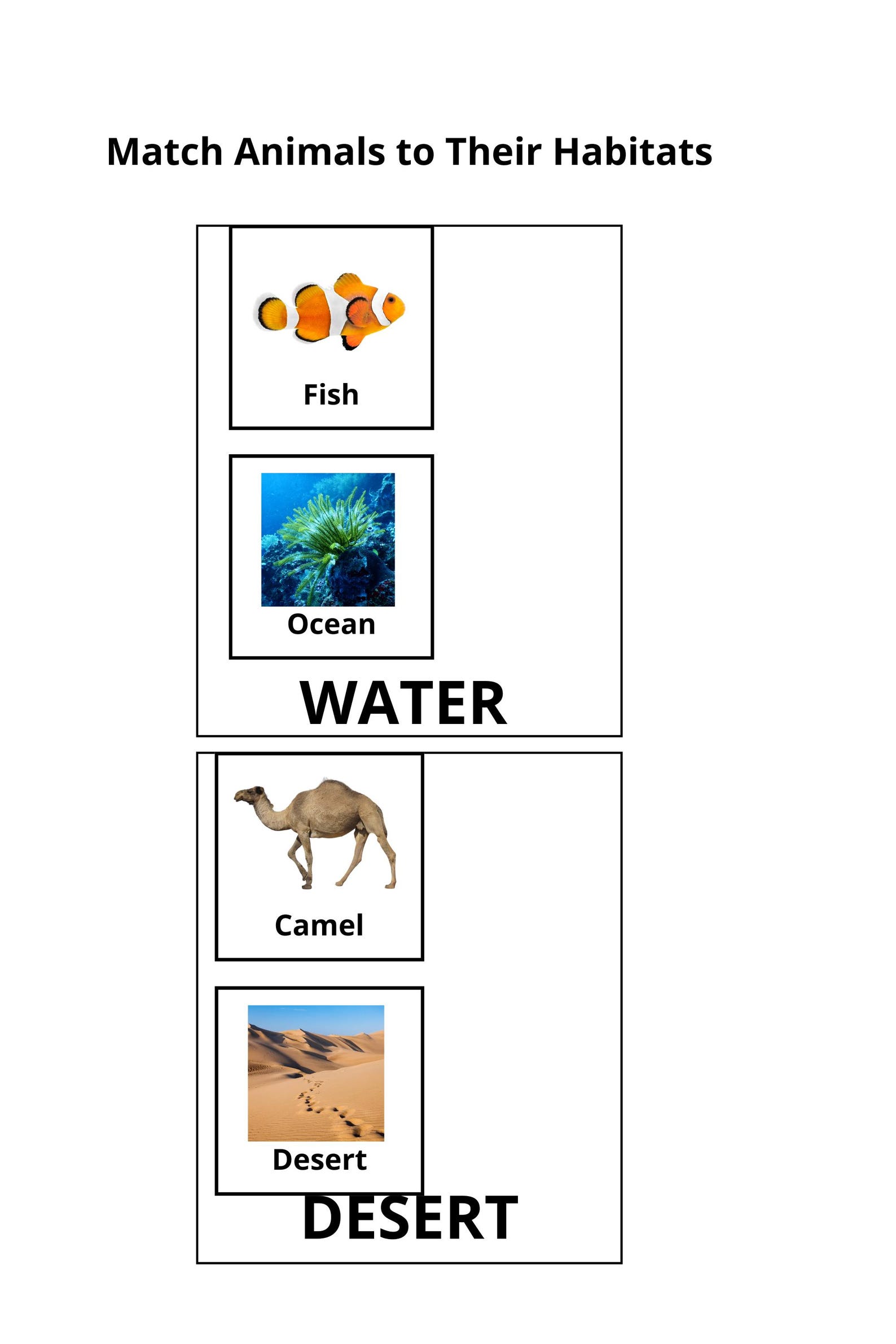 Montessori Animal Habitats Matching Game, Sorting Activity Cards ...