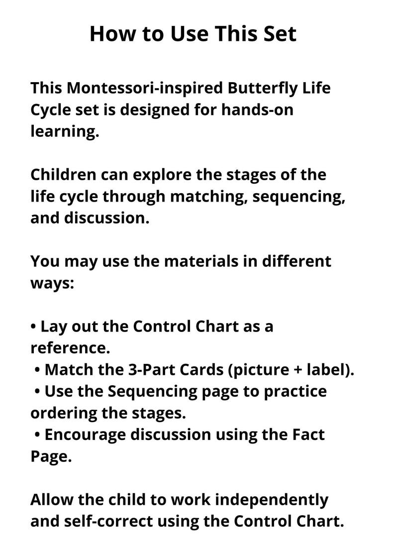 Bee Life Cycle Montessori Cards | Preschool Preschool Worksheet Science ...
