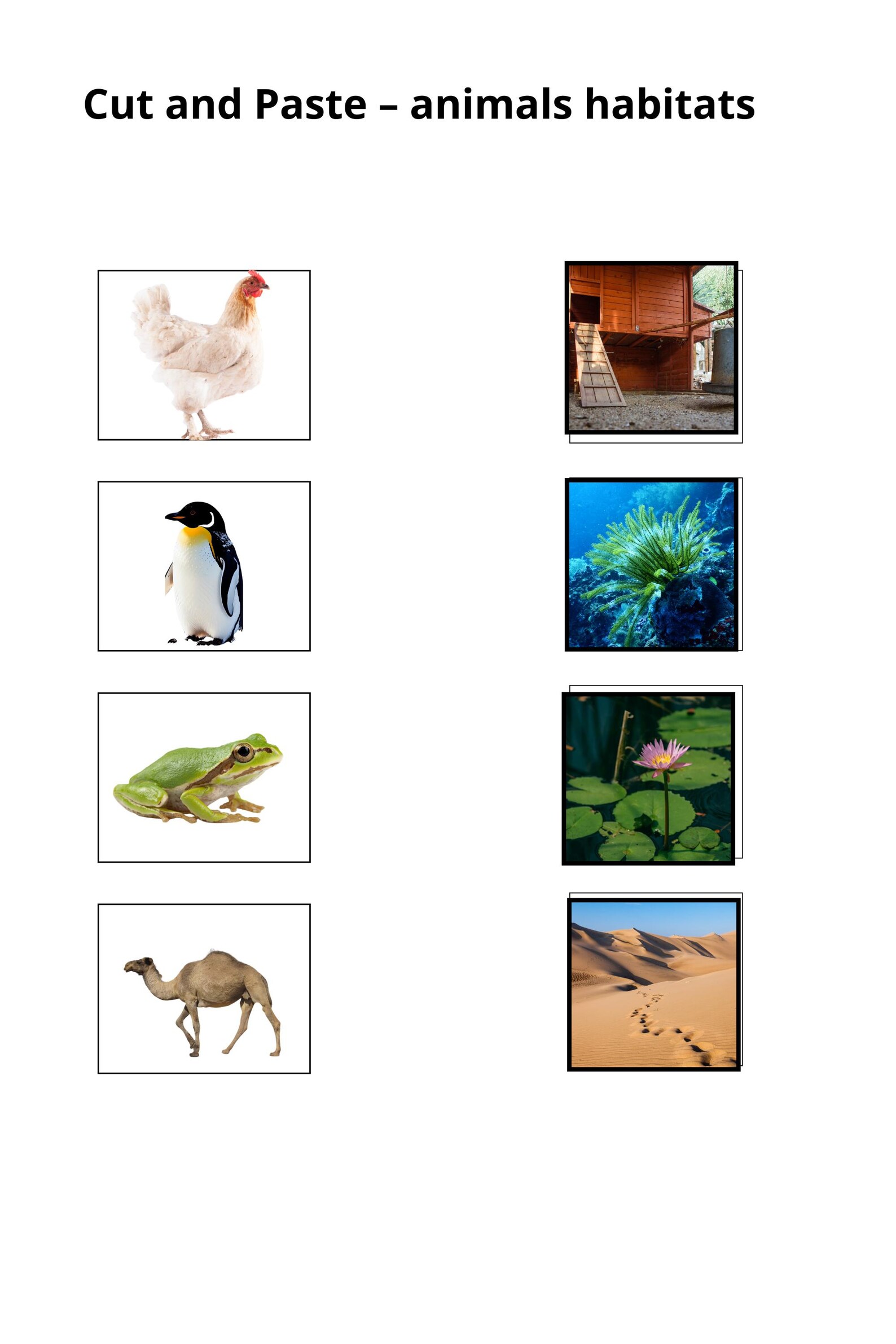 Montessori Animal Habitats Matching Game, Sorting Activity Cards ...