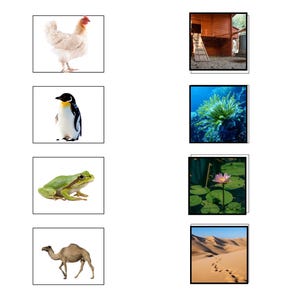 Montessori Animal Habitats Matching Game, Sorting Activity Cards ...