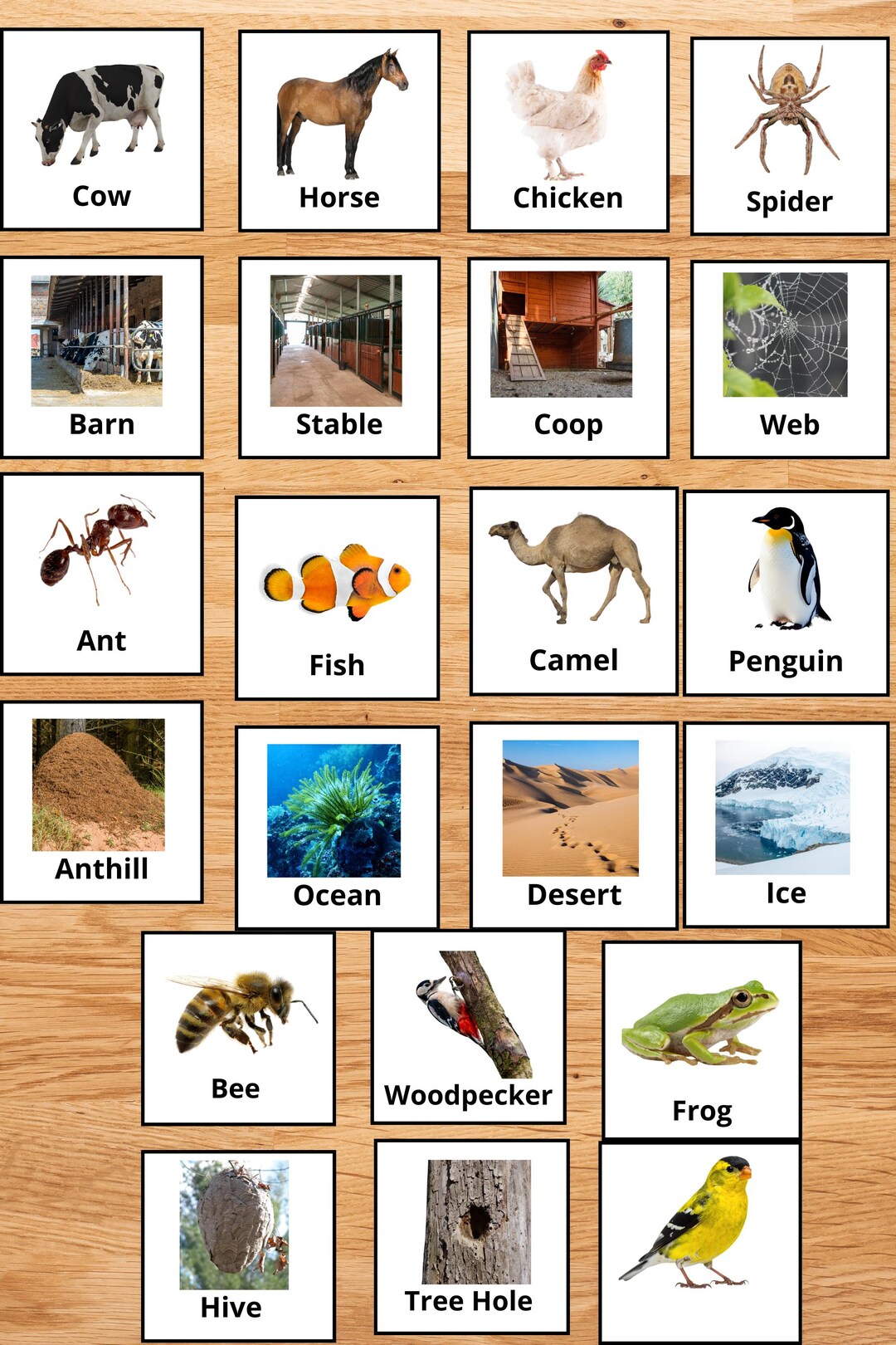 Montessori Animal Habitats Matching Game, Sorting Activity Cards ...