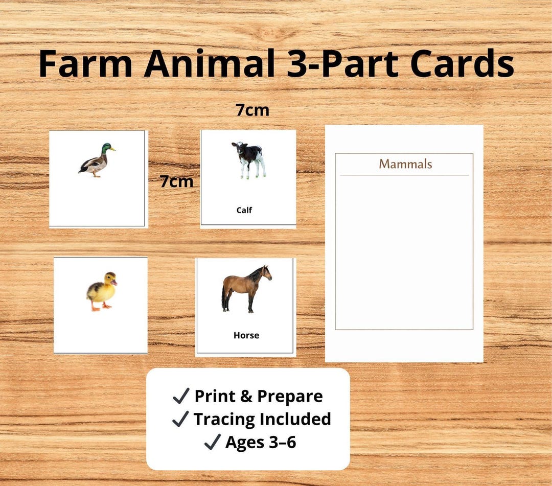 Farm Animal 3-part Cards: Realistic Learning Set (digital Download) - Etsy
