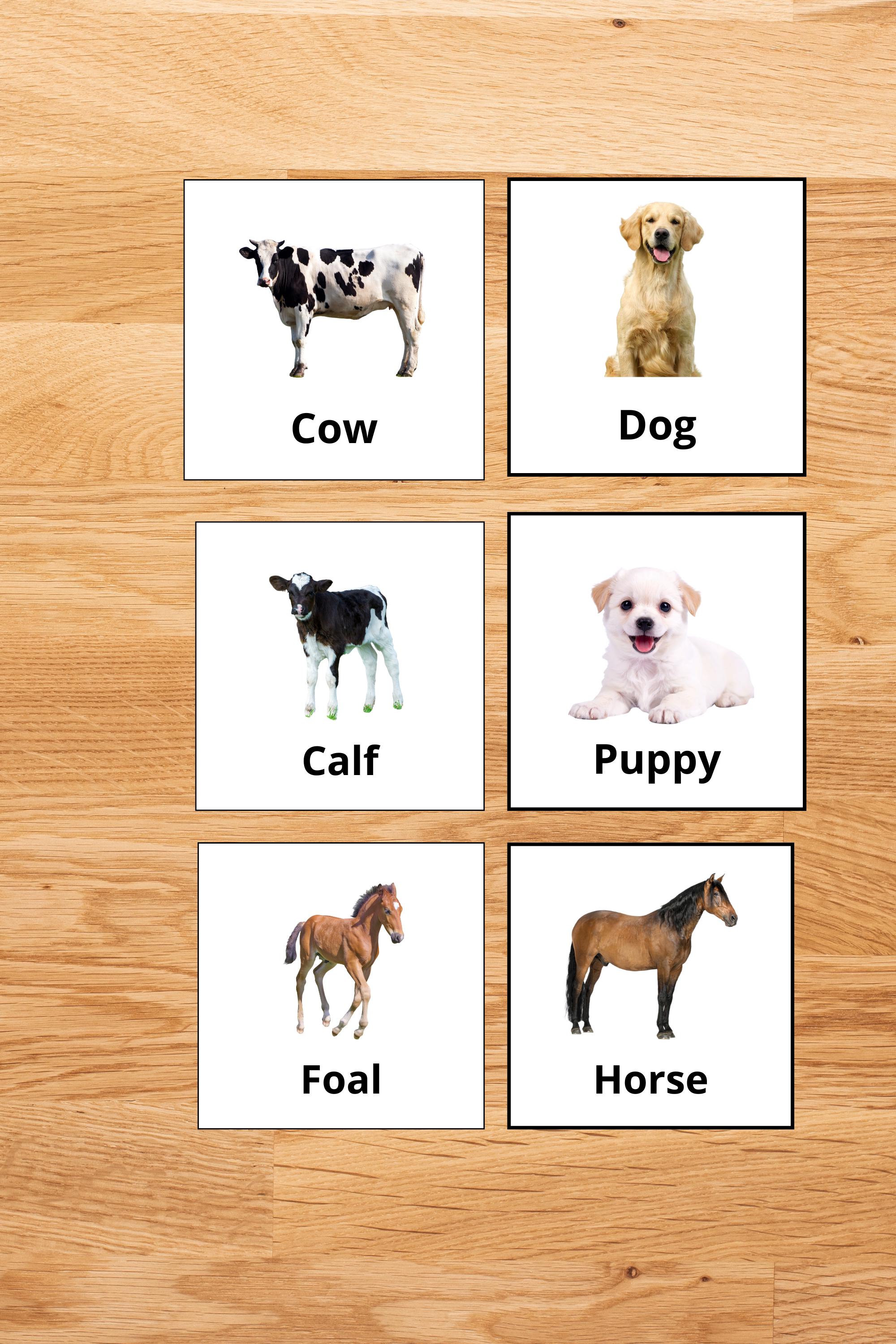 Baby Animals Matching Printable, Montessori 3-part Cards, Farm Animals ...
