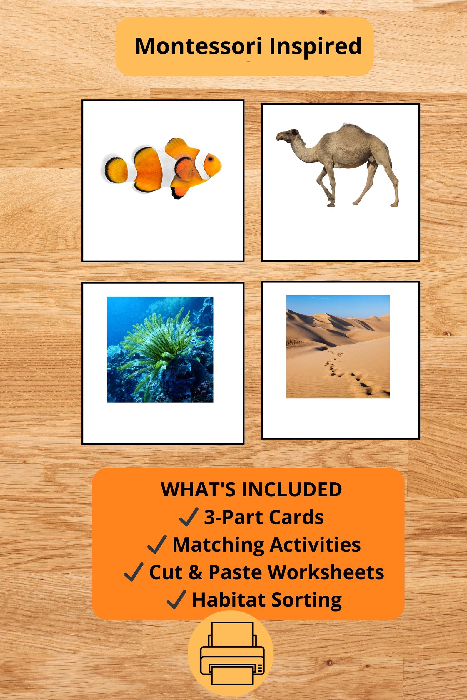 Montessori Animal Habitats Matching Game, Sorting Activity Cards ...