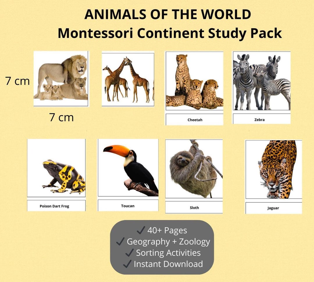 Animals of the World Printable Pack | Montessori Continent Study ...