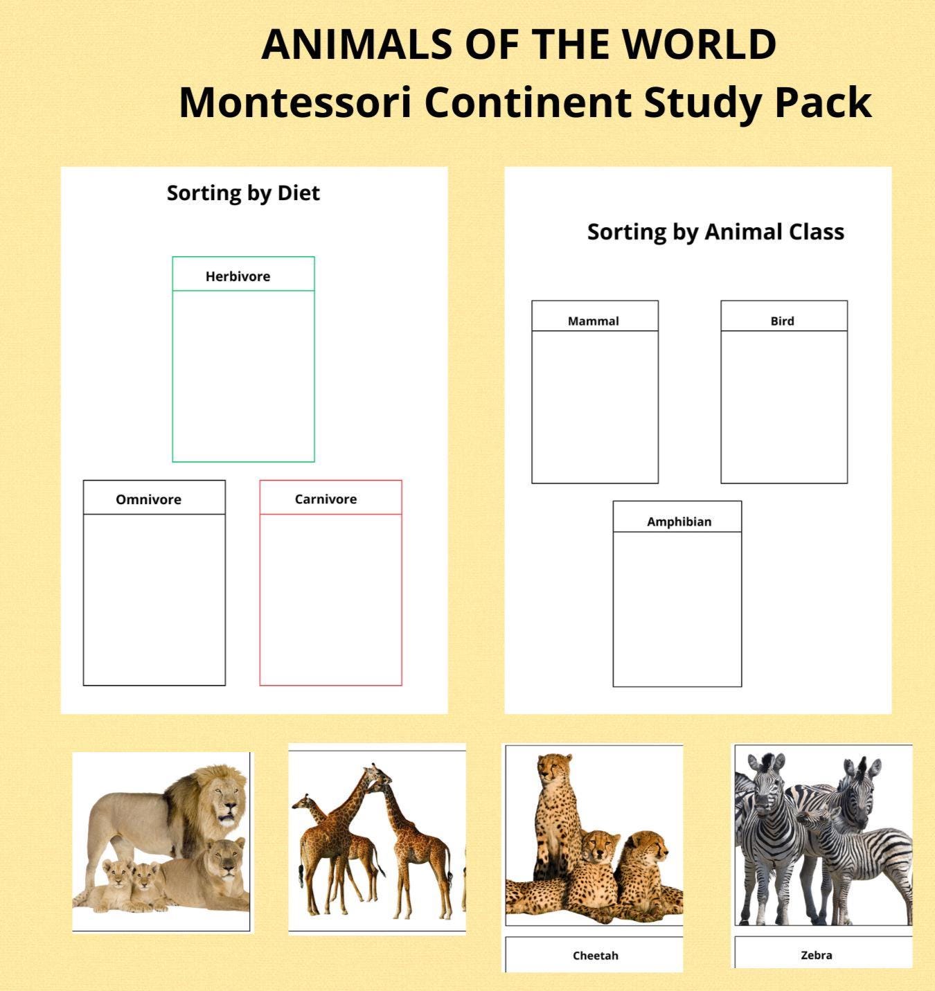 Animals of the World Printable Pack | Montessori Continent Study ...