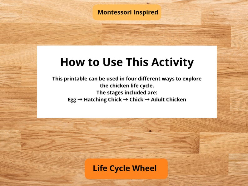 Chicken Life Cycle Activities Printable, Montessori Life Cycle Wheel ...