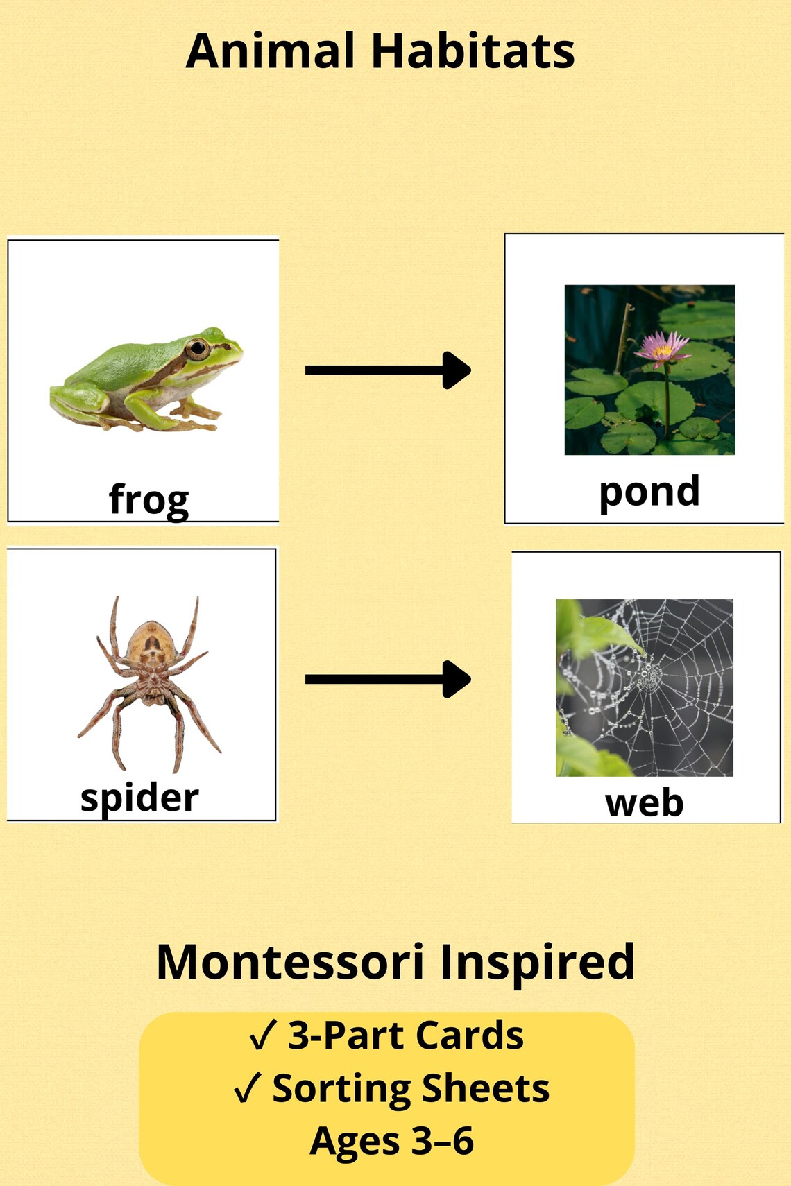 Montessori Animal Habitats Matching Game, Sorting Activity Cards ...