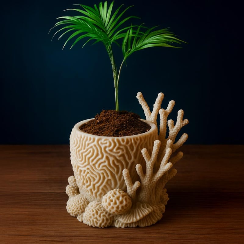 Tropical or Fish Planter - Etsy