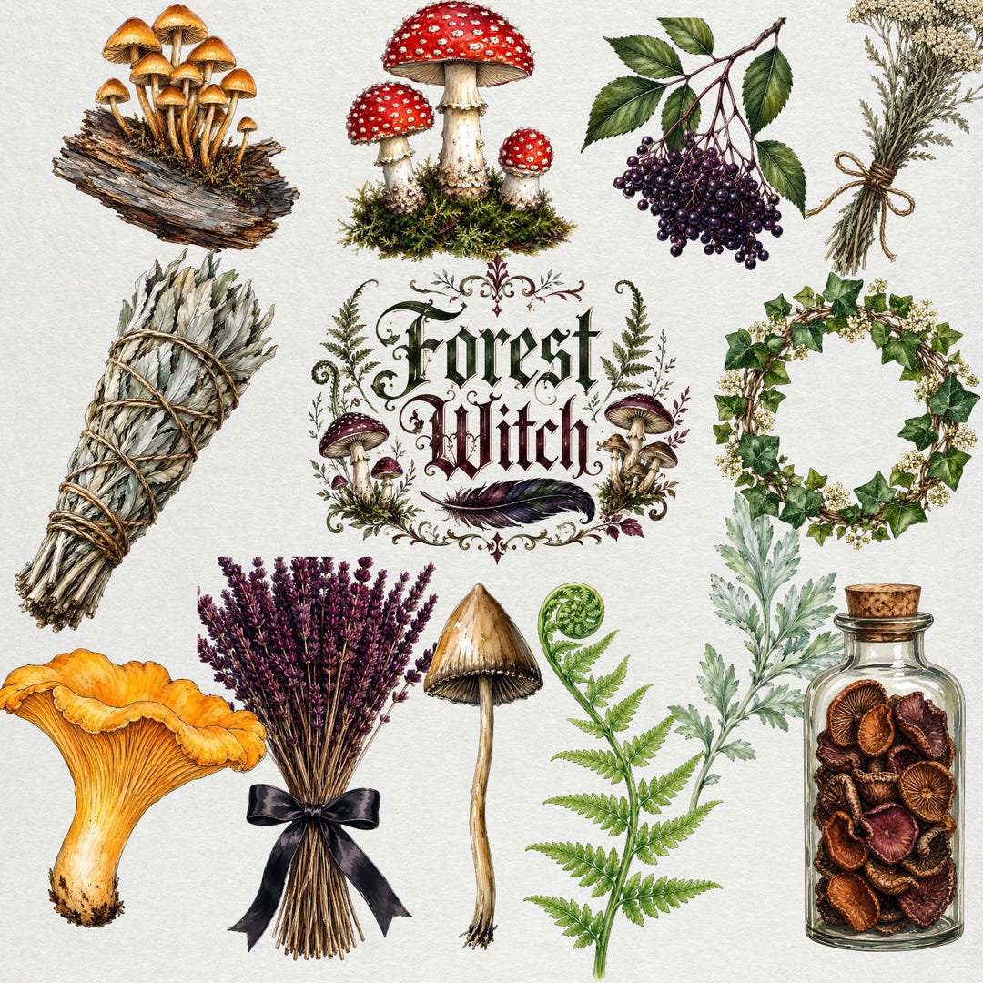 Forest Witch Mushroom Clipart | 12 Wildcraft Botanical PNG ...