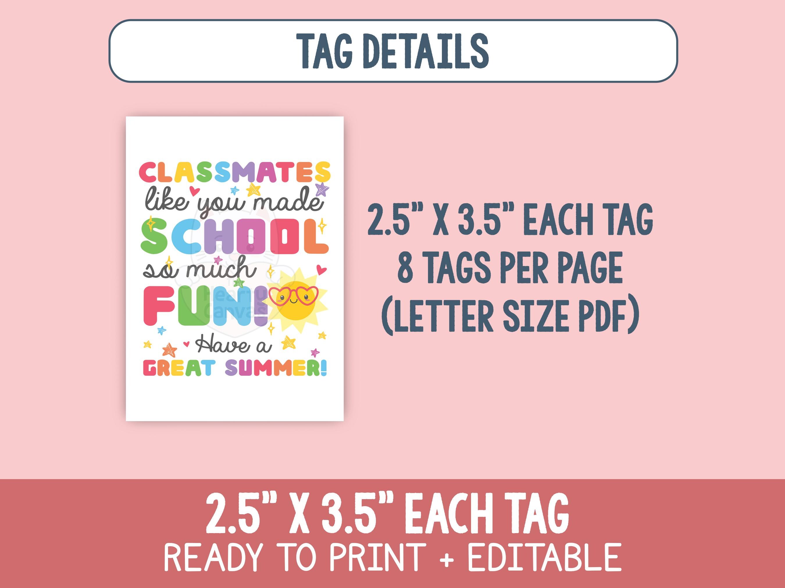 End of School Year Classmate Gift Tag Editable, Summer Break Friend ...