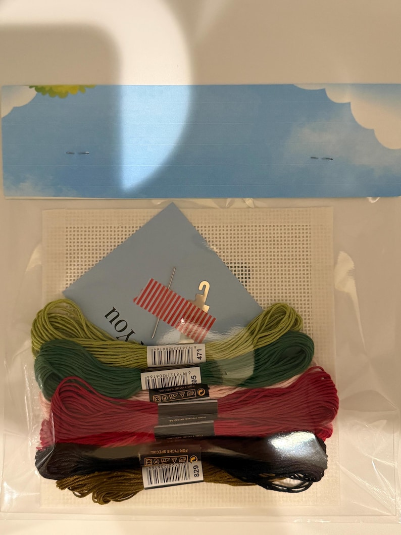 Teacher Appreciation Apple - 13 Mesh - Needlepoint Canvas Kit - Etsy