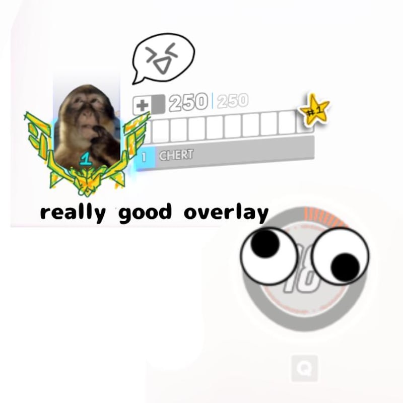 Meme Overlays - Etsy