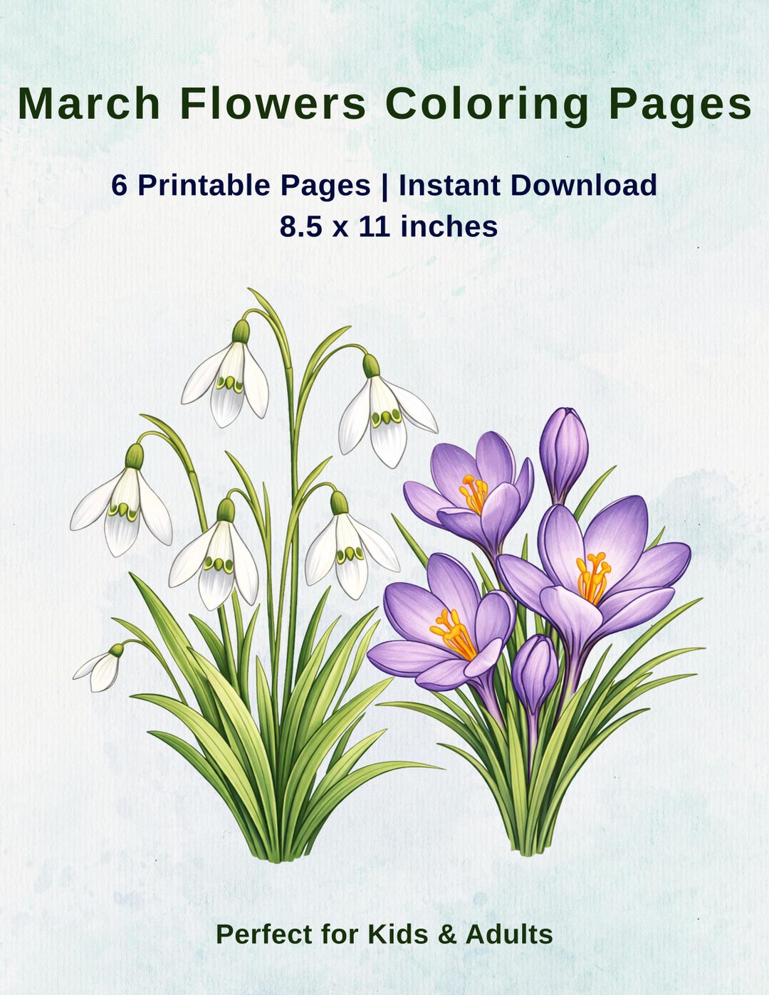 March Flowers Coloring Pages, Printable PDF, 6 Spring Flower Designs, 8 ...