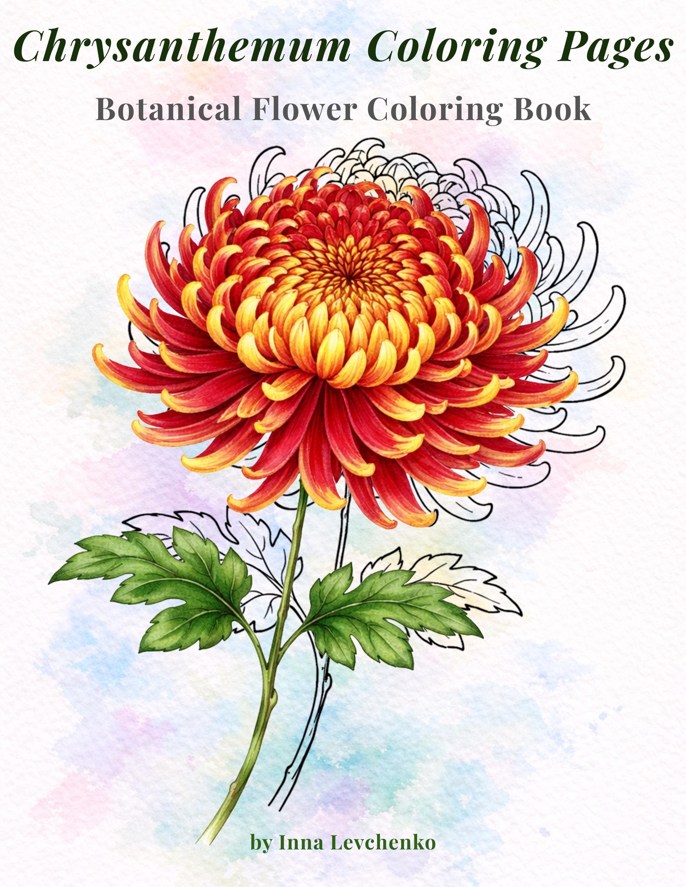 Chrysanthemum Coloring Pages Printable PDF, Botanical Flower Coloring ...