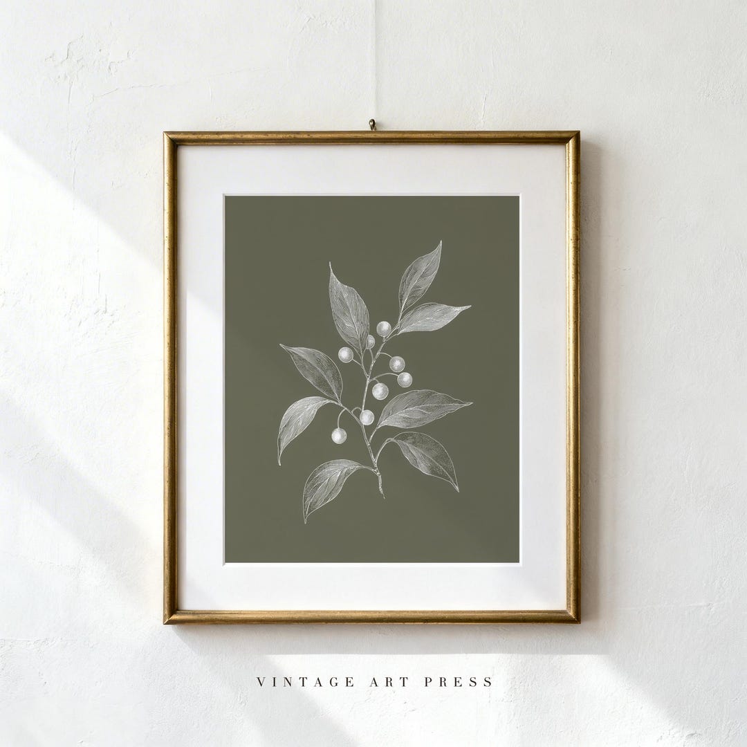 Vintage Botanical Leaf Branch Print Art, Nature Study Illustration ...