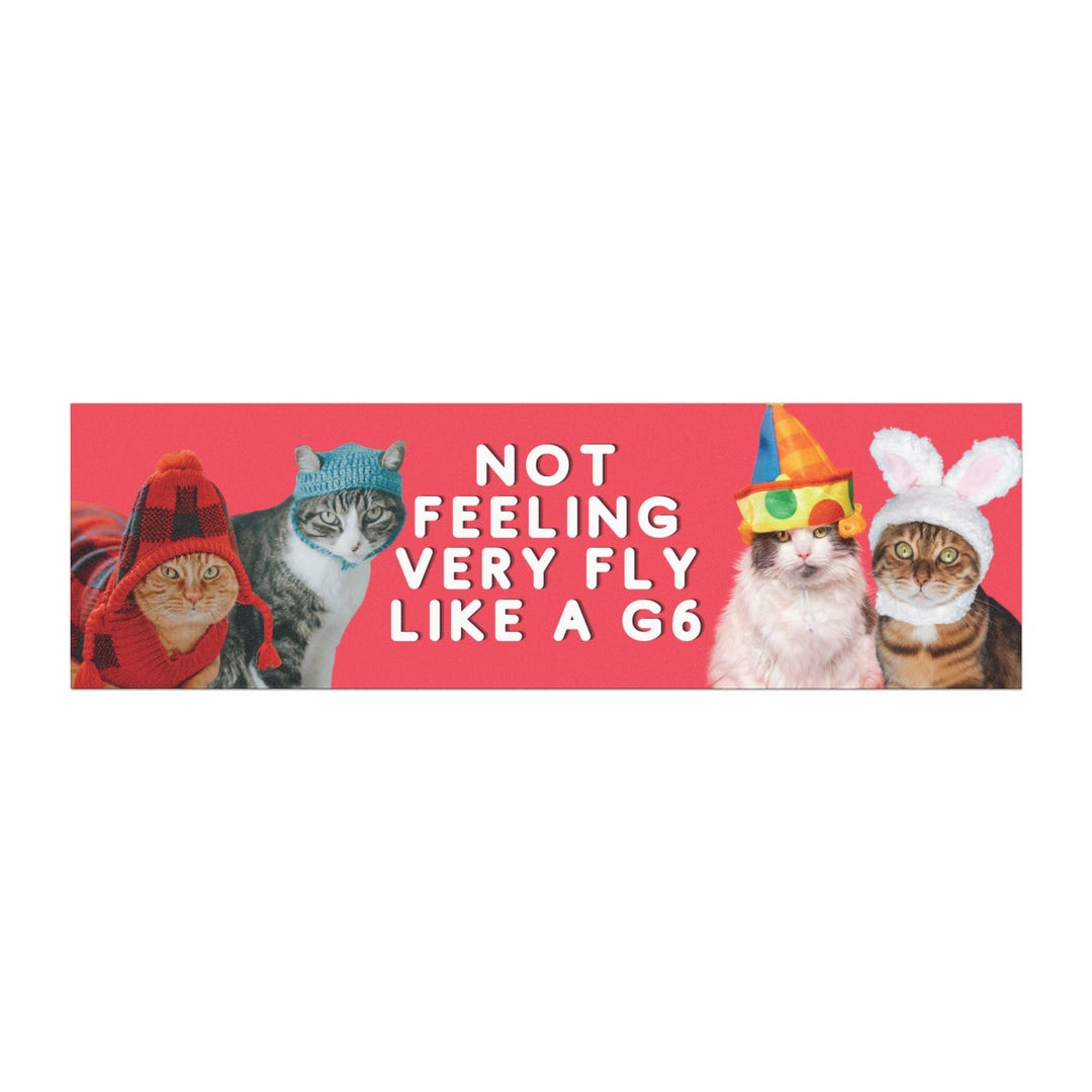 Not Feeling Very Fly Like a G6 Cat Squad Car Magnet | Funny Bumper ...