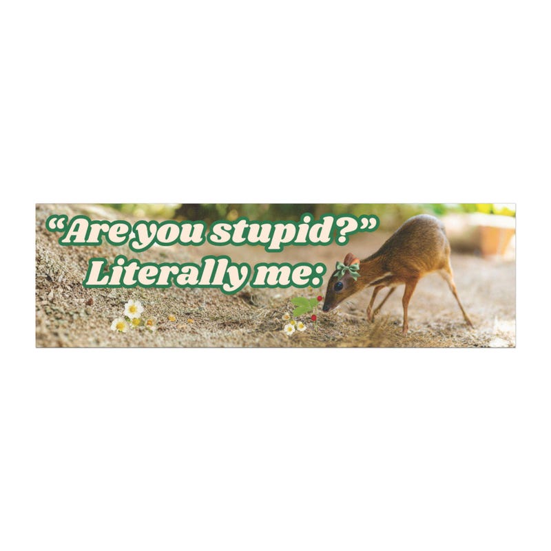 Funny Deer Bumper Sticker - Etsy
