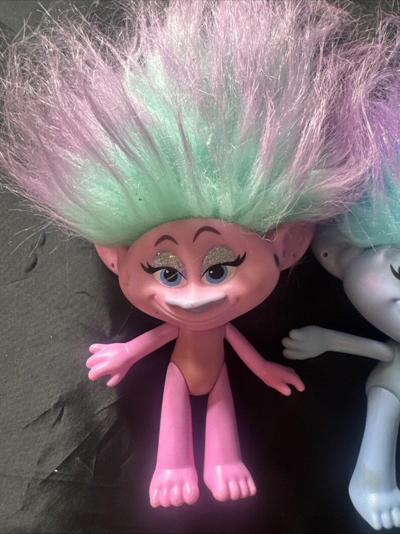 2 Trolls World Tour Poppy & Branch Doll Action Figures 6" to 9" Figure ...