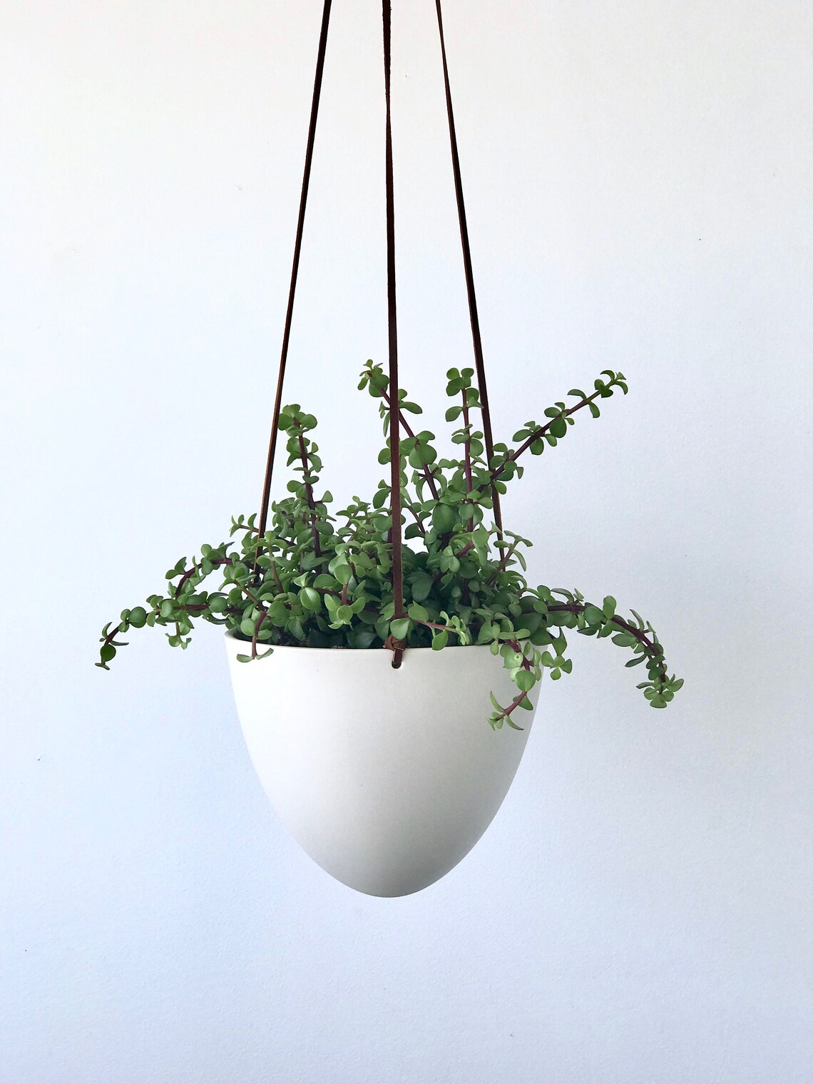 Large Hanging Bullet Planter Ceramic Porcelain Hanging - Etsy