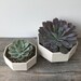 Octagon Succulent Planter Ceramic Porcelain Planter Modern - Etsy