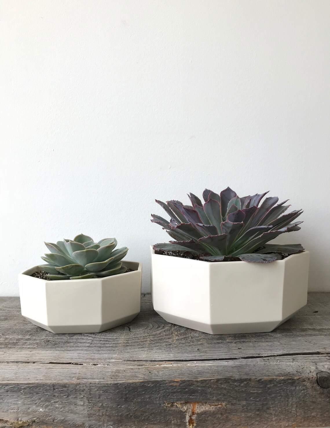 Octagon Succulent Planter Ceramic Porcelain Planter Modern | Etsy